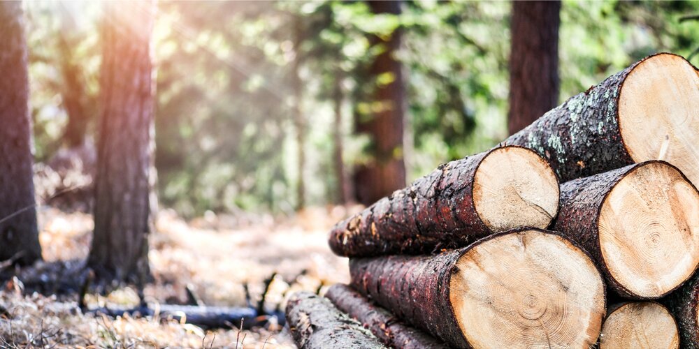 Tandem Wood Products – groothandel in duurzaam hout